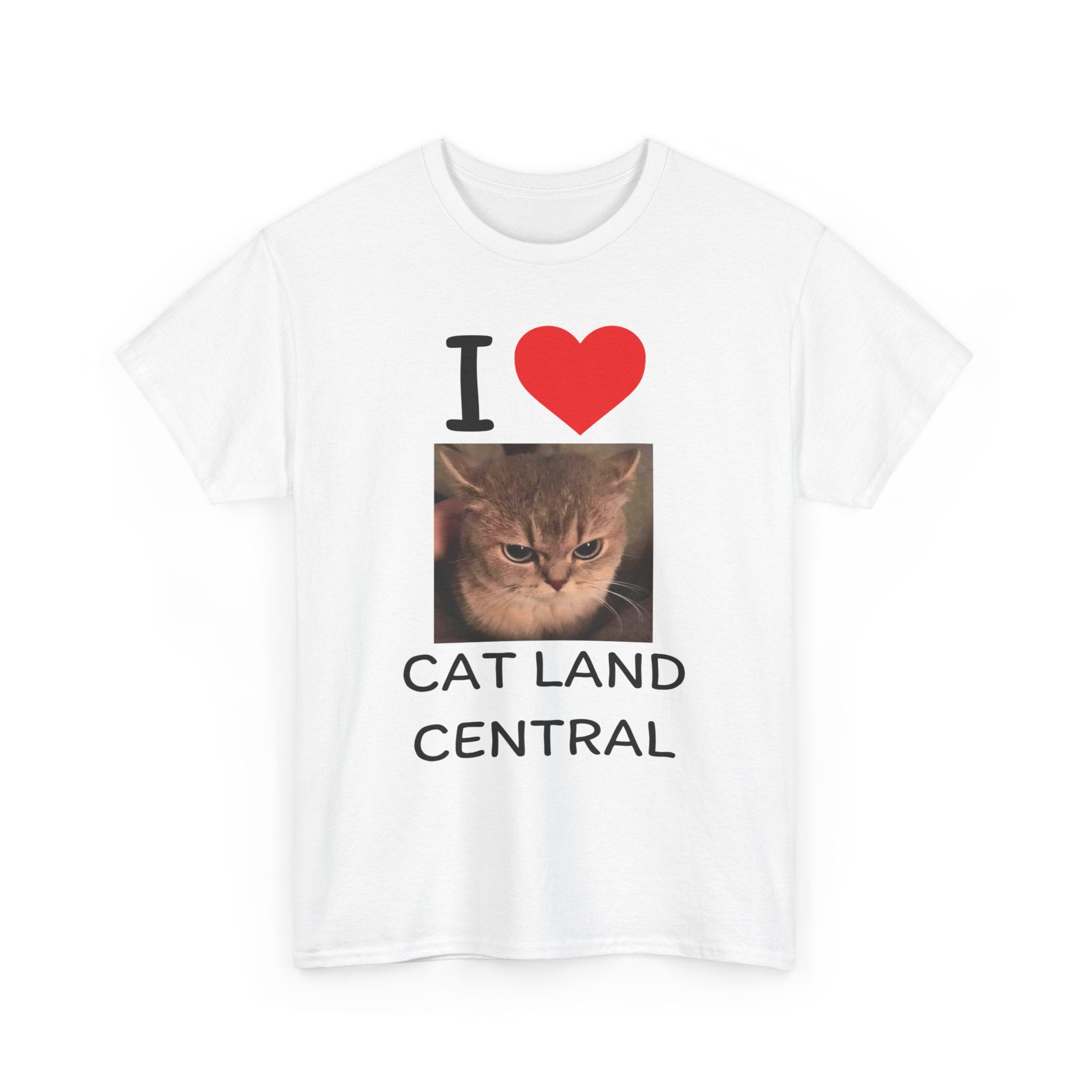CAT LAND CENTRAL